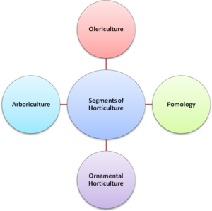 Horticulture Sector in India - The Sky is the Limit | Hindrise